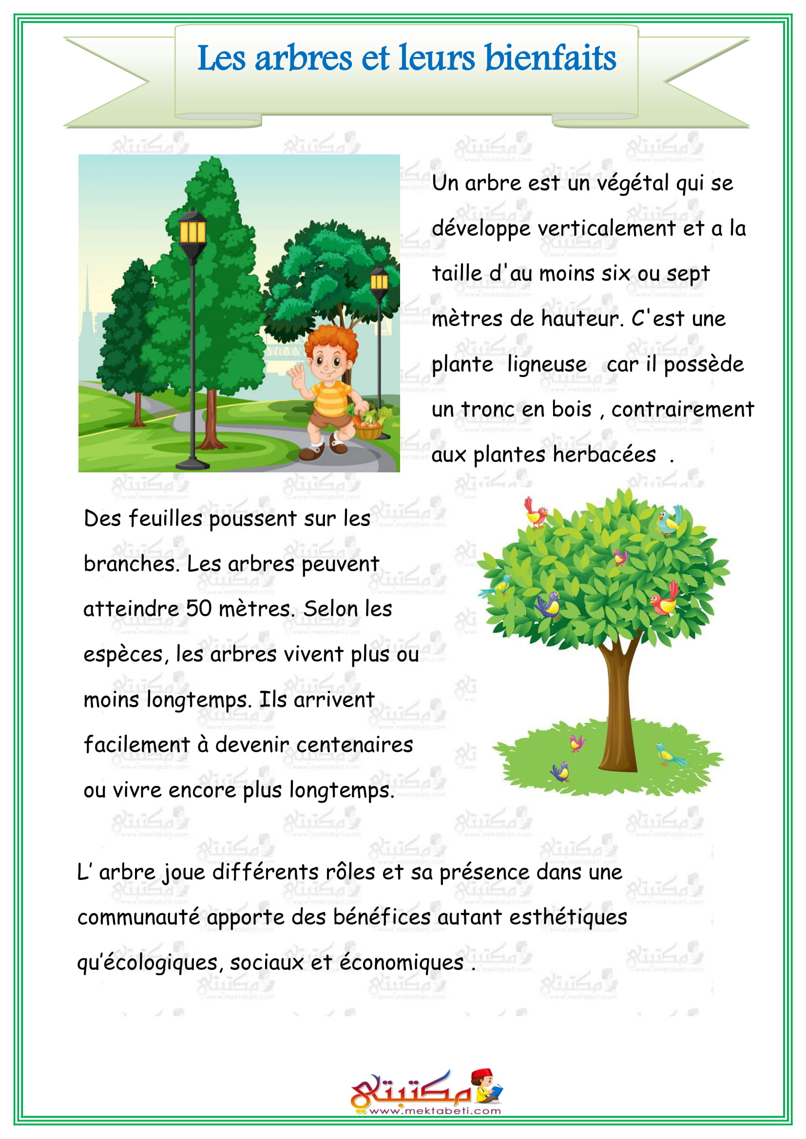 Les arbres et leurs bienfaits - مكتبتي المنصة التعليمية