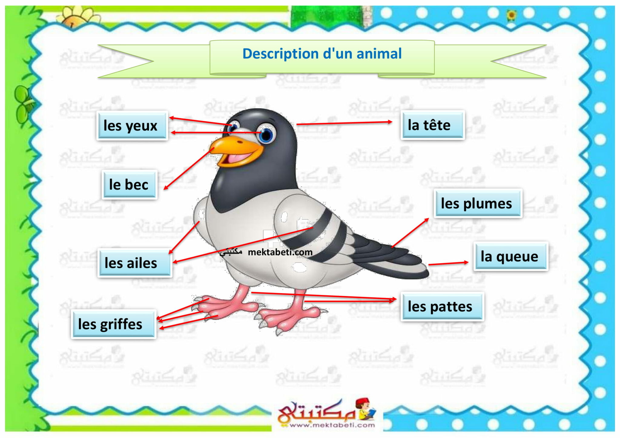 Description d'un animal - مكتبتي المنصة التعليمية