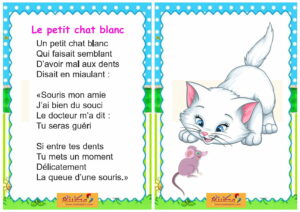 Récitation le petit chat blanc - مكتبتي المنصة التعليمية