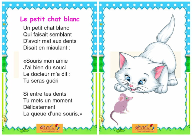 Récitation le petit chat blanc - مكتبتي المنصة التعليمية