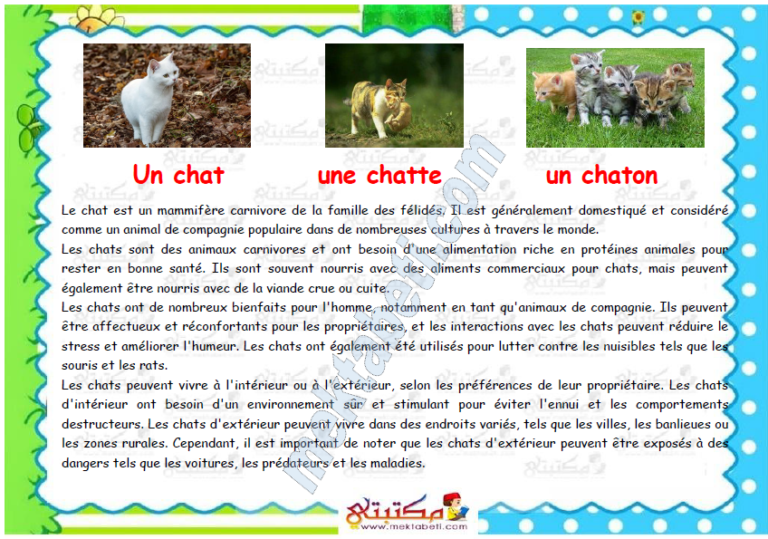 Le chat - مكتبتي المنصة التعليمية