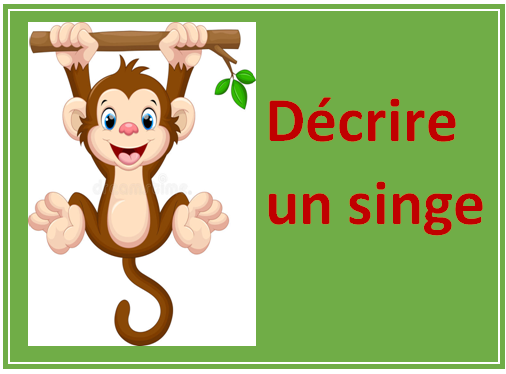 Décrire un singe - مكتبتي المنصة التعليمية