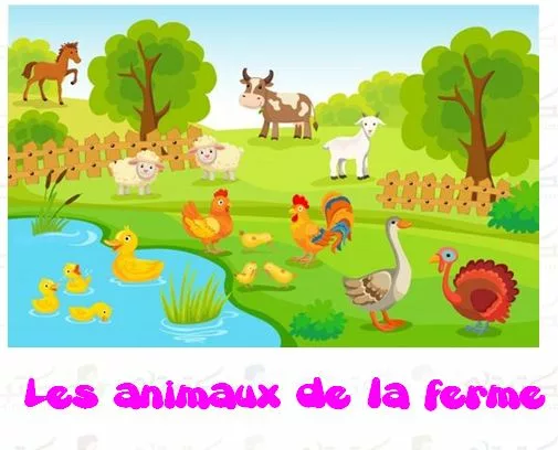 Les animaux de la ferme - مكتبتي المنصة التعليمية